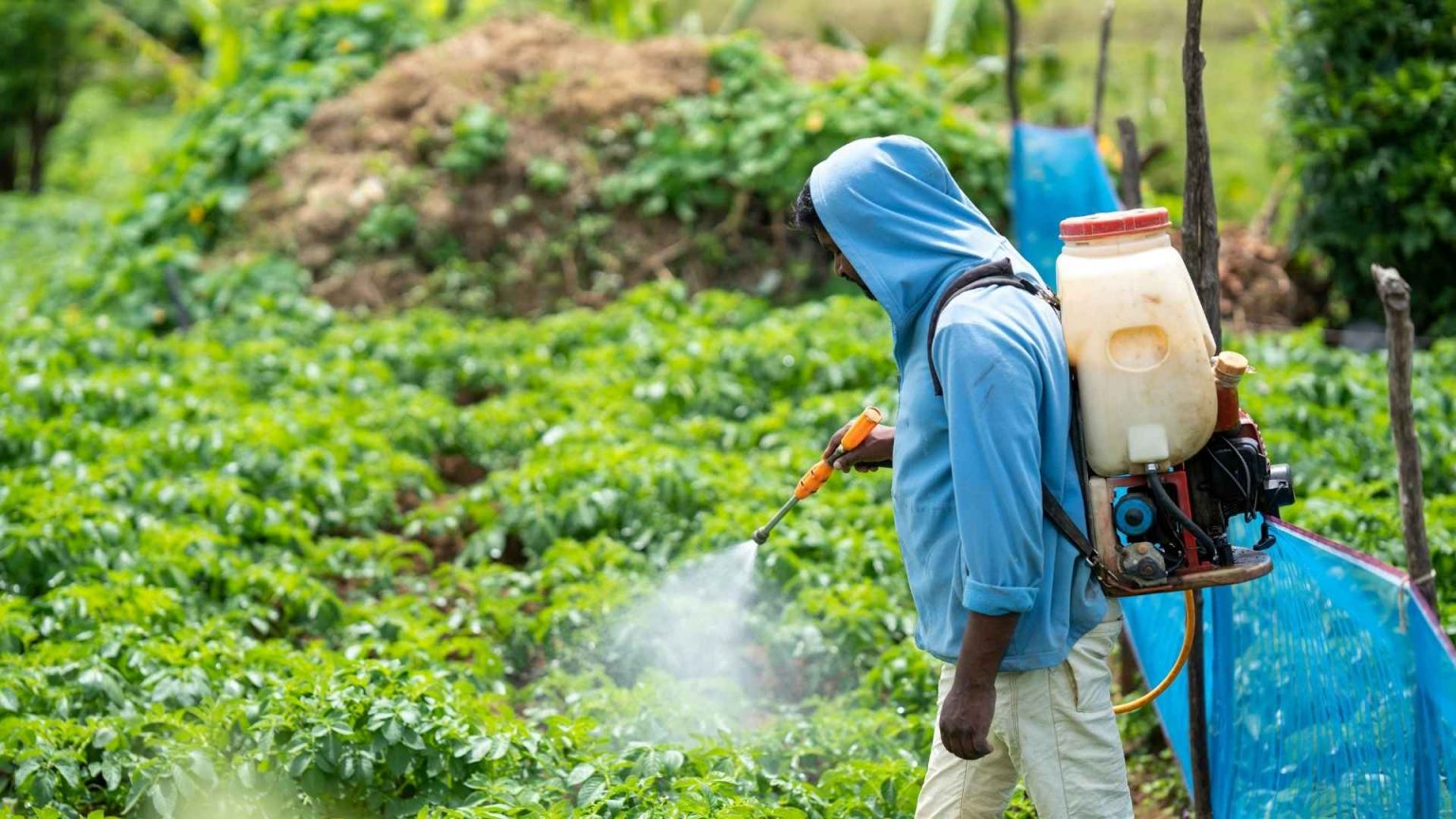 Kenali Sprayer Pertanian dari Jenis hingga Manfaatnya