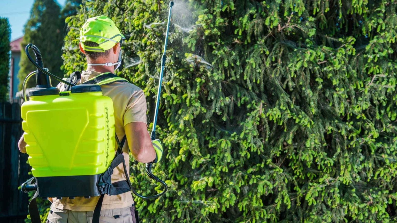 Kenali Sprayer Pertanian dari Jenis hingga Manfaatnya