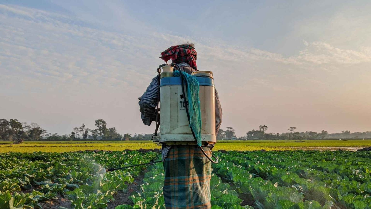 Kenalan dengan Bagian-Bagian Knapsack Sprayer - Indoteknik.com