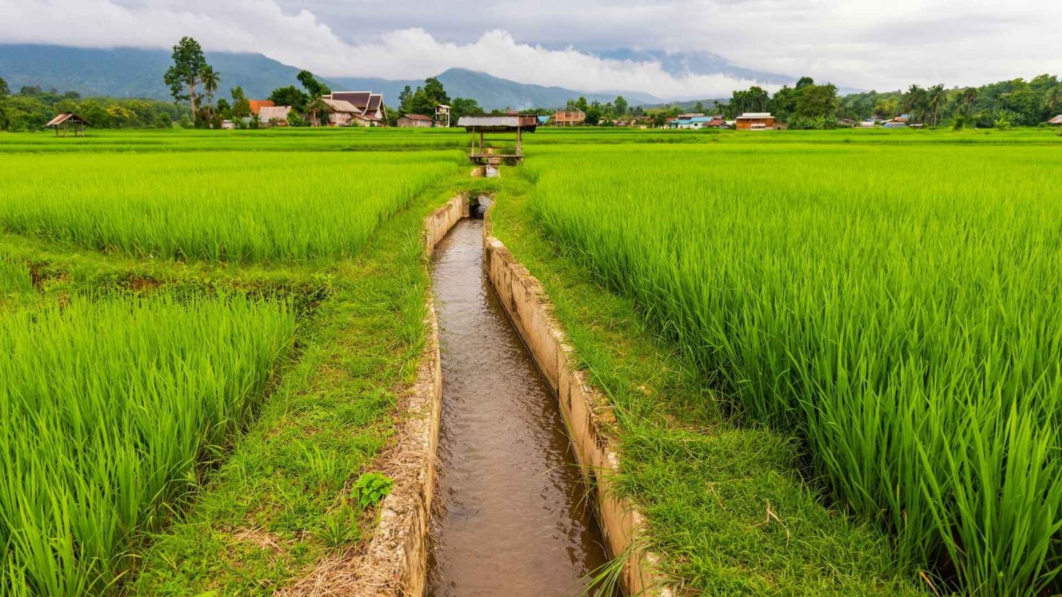 Kenali Jenis-Jenis Irigasi dan Cara Memilih yang Tepat